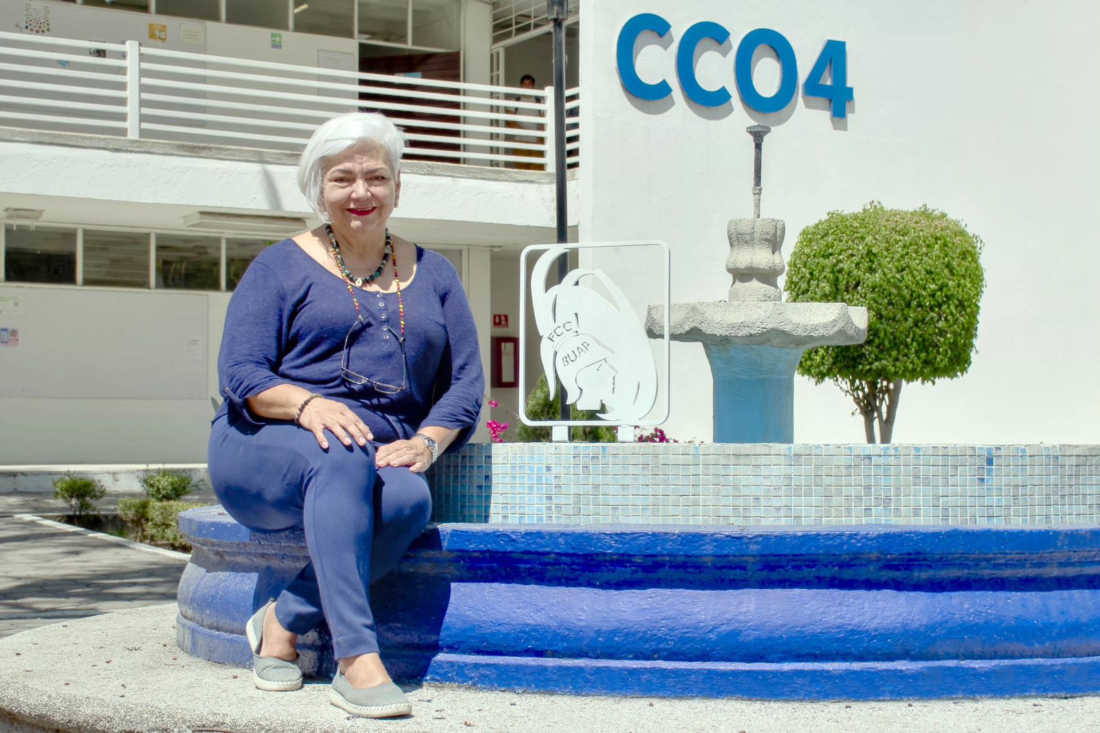 Investigadora de Computación ingresó como Académica Titular de la CEICE ...